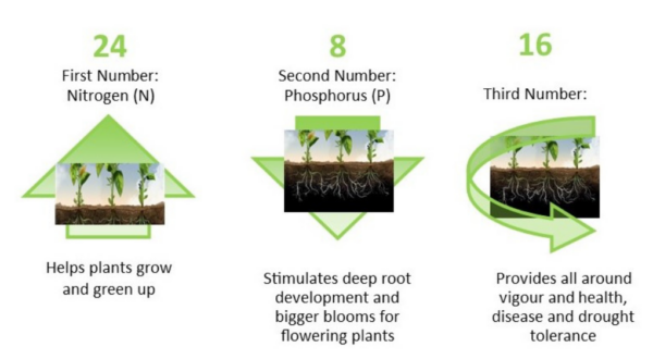 Understanding Lawn & Garden Fertilizer Numbers - Glen Echo Nurseries