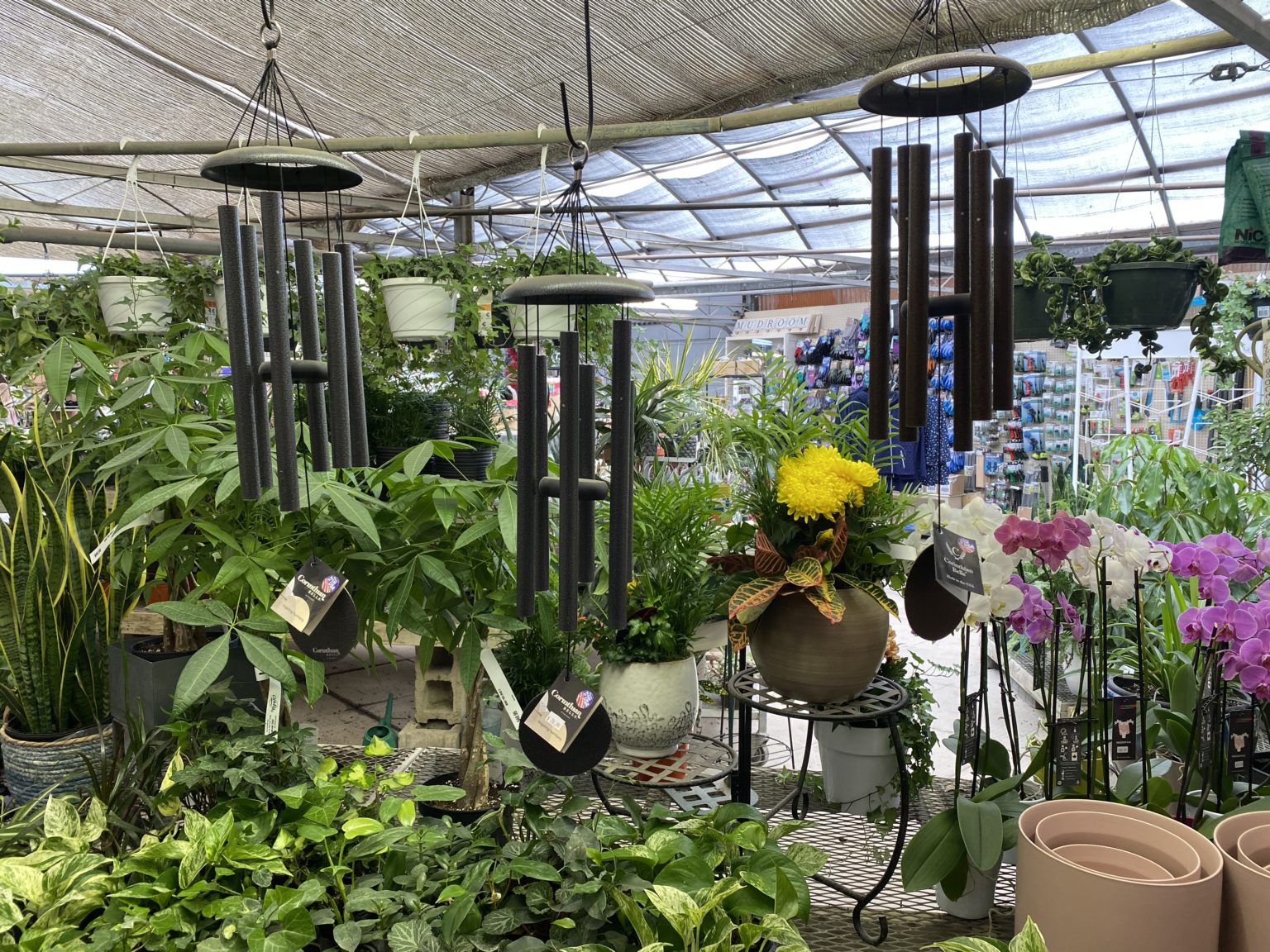 Wind Chimes - Glen Echo Nurseries