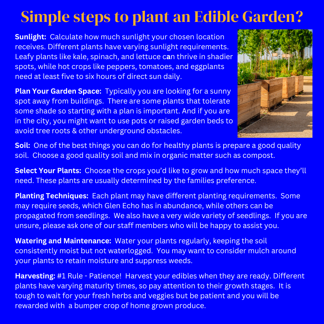 EASY STEPS TO PLANTING AN EDIBLE GARDEN THIS SPRING! - Glen Echo Nurseries